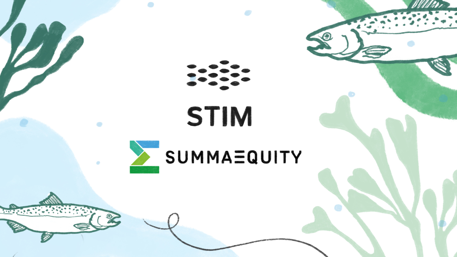 Summa Equity