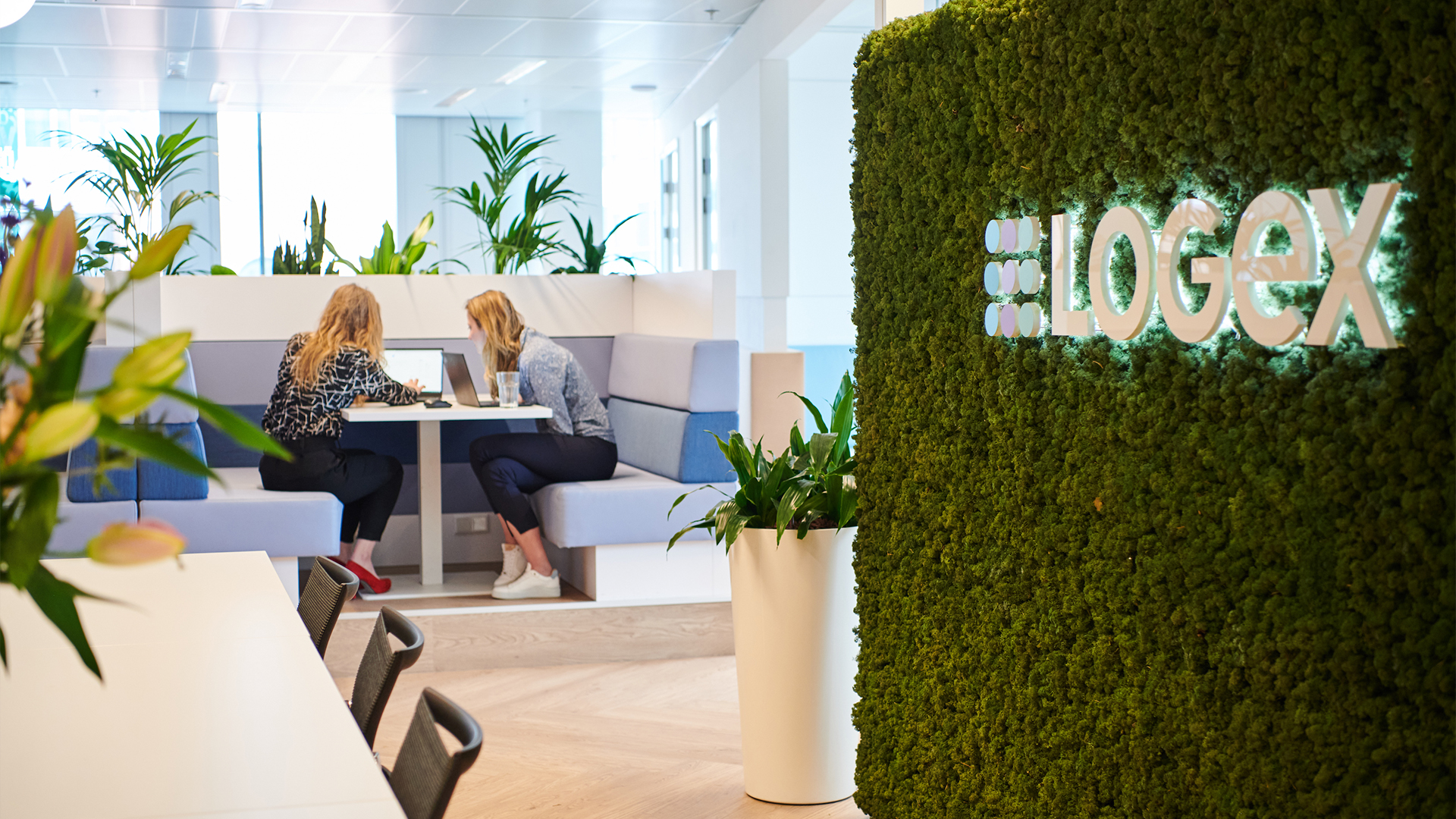 LOGEX - Summa Equity