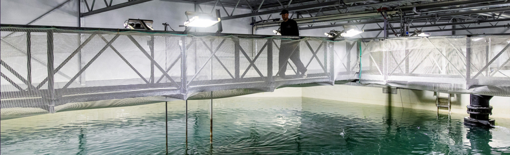 Nofitech - Summa Equity