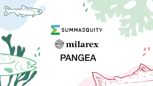 Summa Equity completes full exit of Infobric - Summa Equity